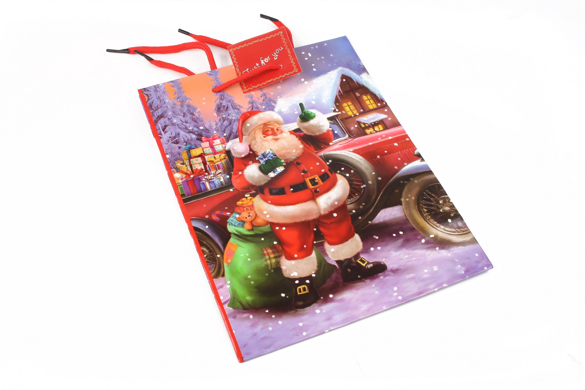 Punga cadou model Craciun 23x17x8cm